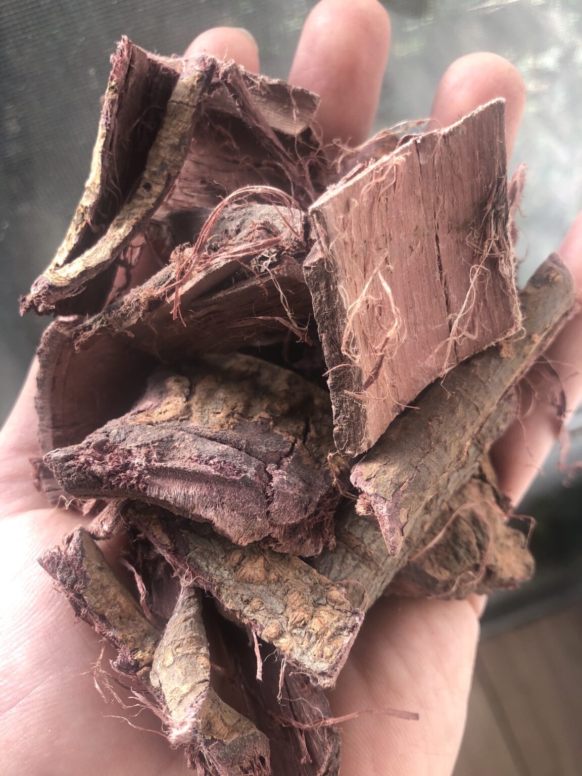 Shop Mimosa Hostilis Root Bark Onine